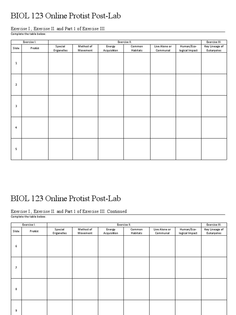 Protist Post-Lab Revised | PDF