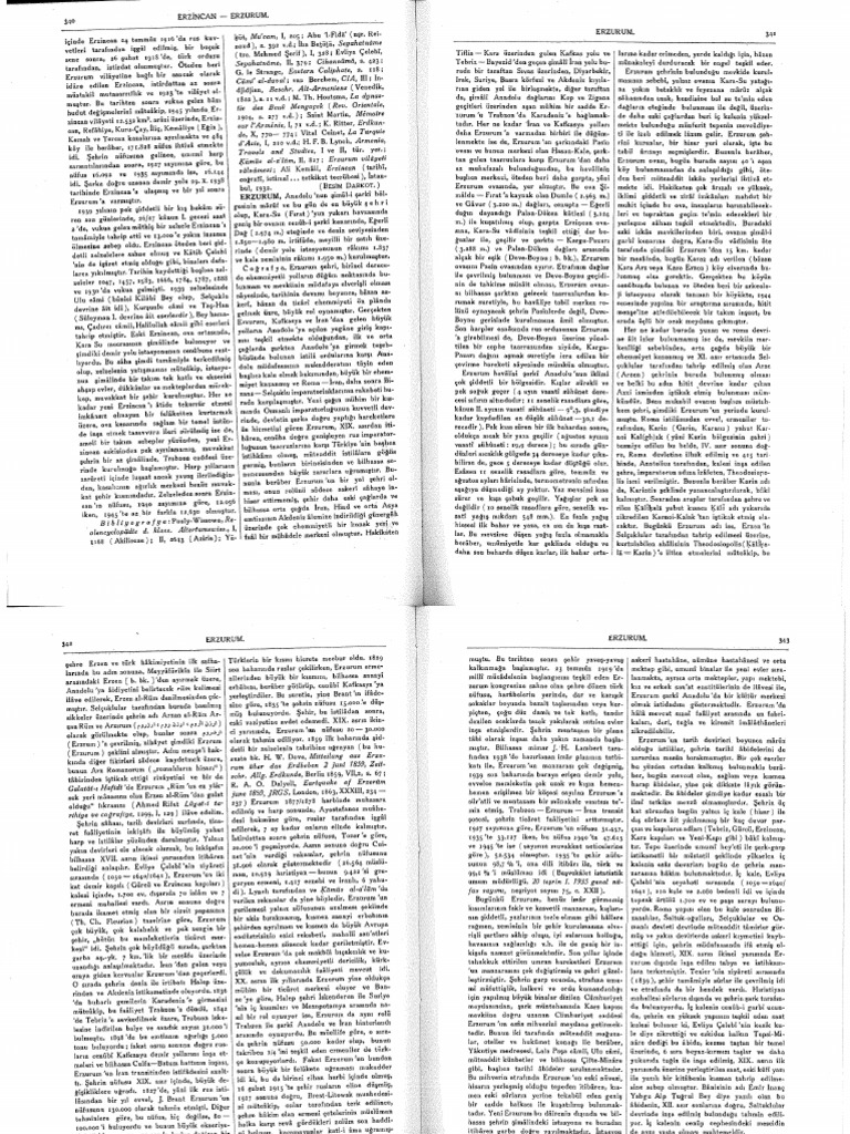 Erzurum MEB İA Cilt 4 | PDF