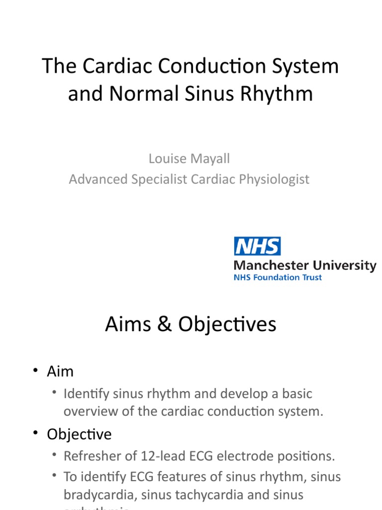 Normal Sinus Rhythm | PDF | Electrocardiography | Heart