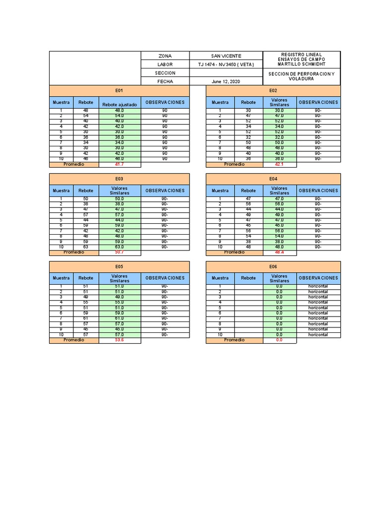 Formato Martillo Schmidth | PDF