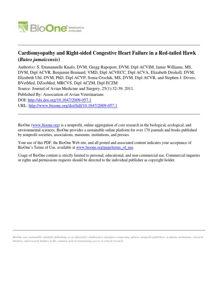 Cardiomyopathy and Right-Sided Congestive Heart Failure in A Red-Tailed Hawk - KNAFO, 2011 | PDF ...