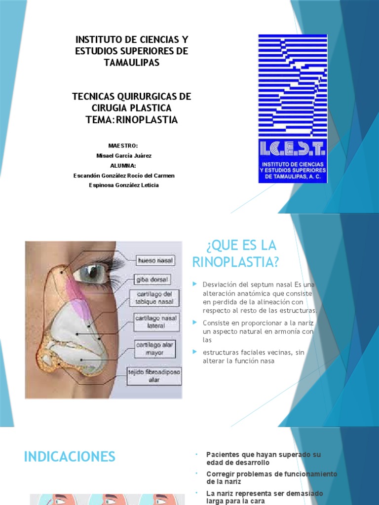 RINOPLASTIA | PDF | Anatomía humana | Cara