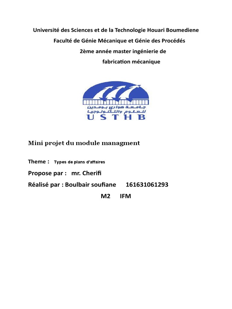 Mini Projet Managment | PDF | Plan d'affaires | Business