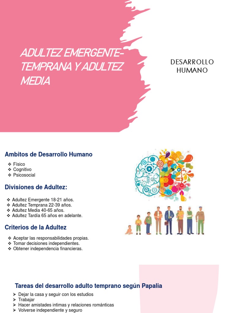 Adultez Emergente Temprana y Adultez Media | PDF