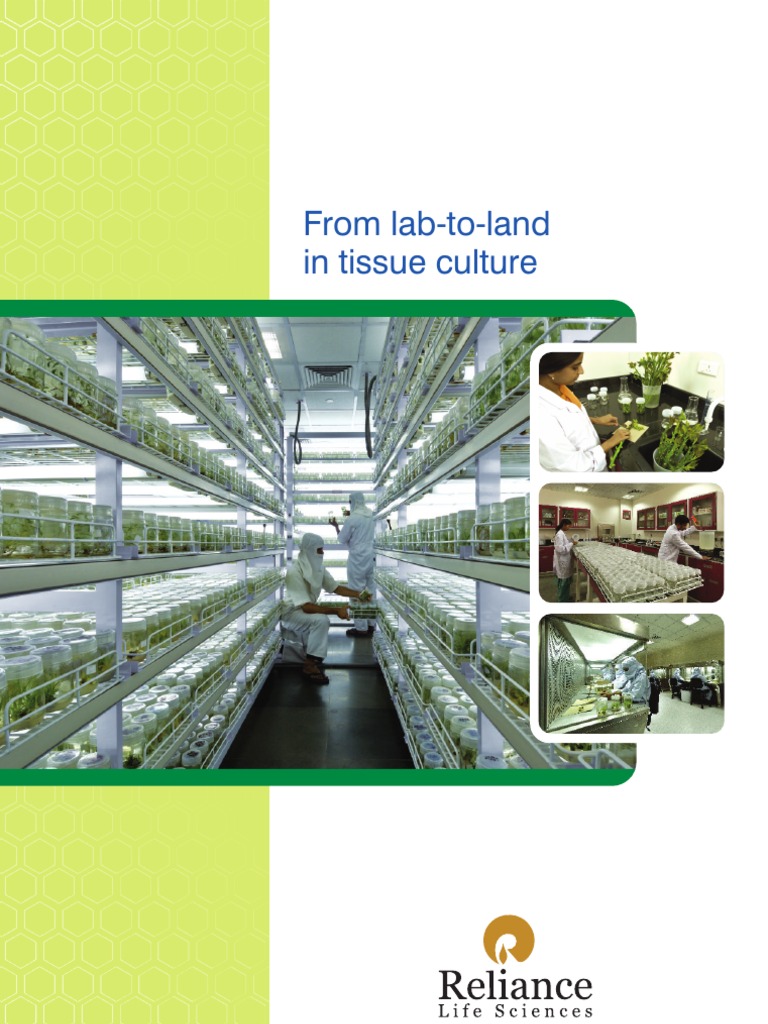 PTC | PDF | Biotechnology | Plants