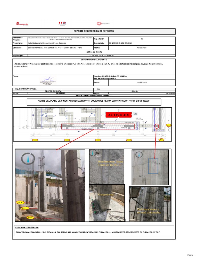 Reporte de Deteccion de Defectos #18 | PDF