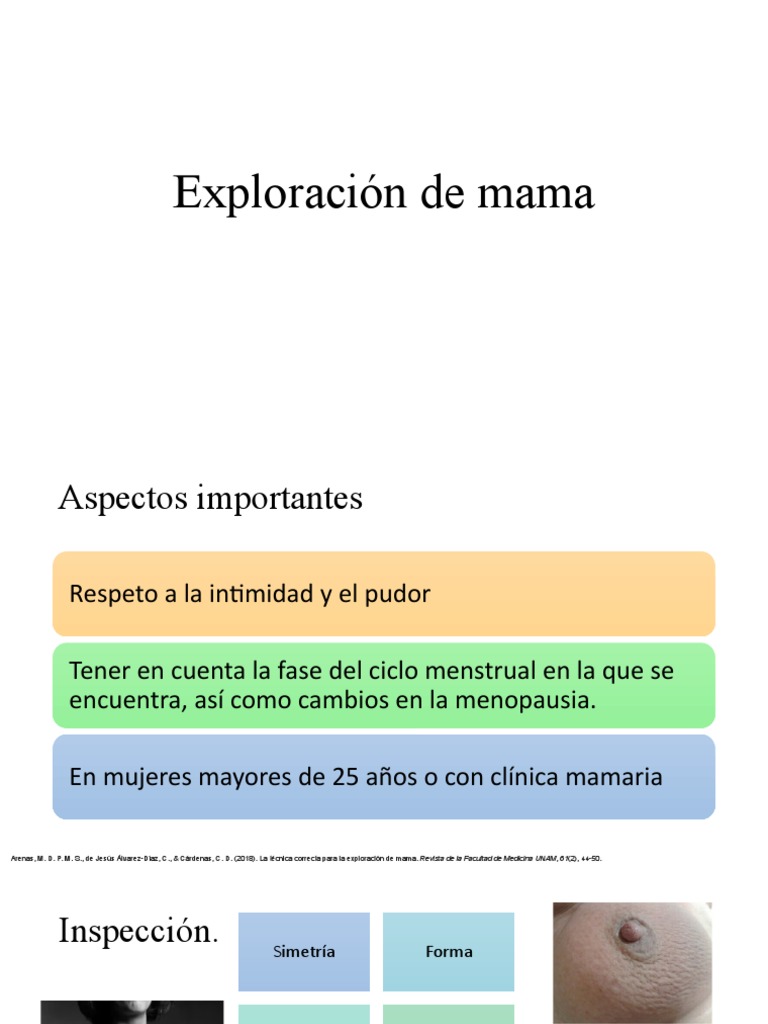 Guía para la Exploración de Mama | PDF | Cáncer de mama | Pecho