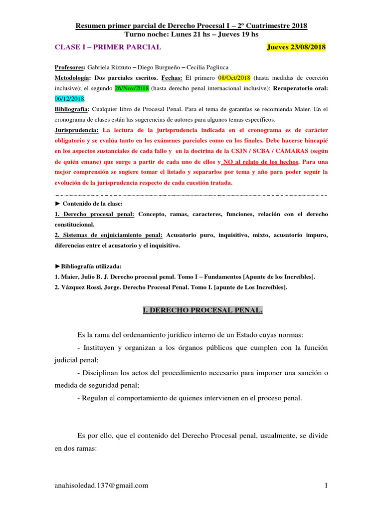 Procesal Penal - Primer Parcial | PDF | Derecho penal | Ley procesal