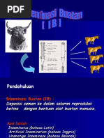 Gambar Alat Reproduksi Sapi Betina | PDF