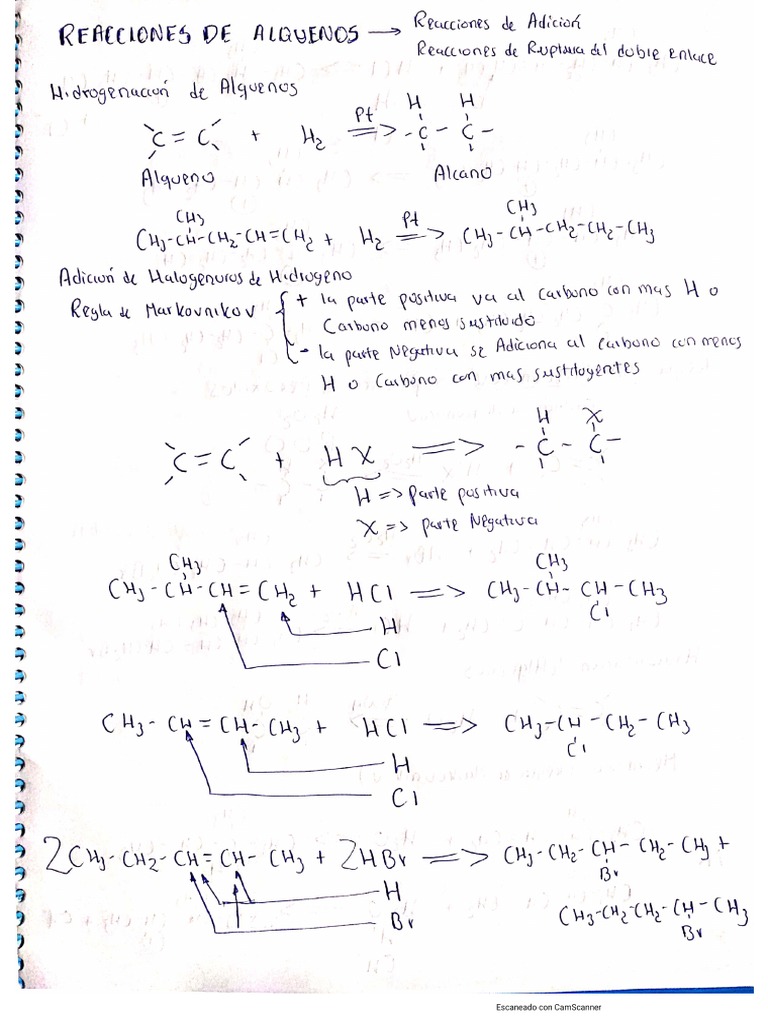 1 1 Clase Alquenos Pdf Pdf