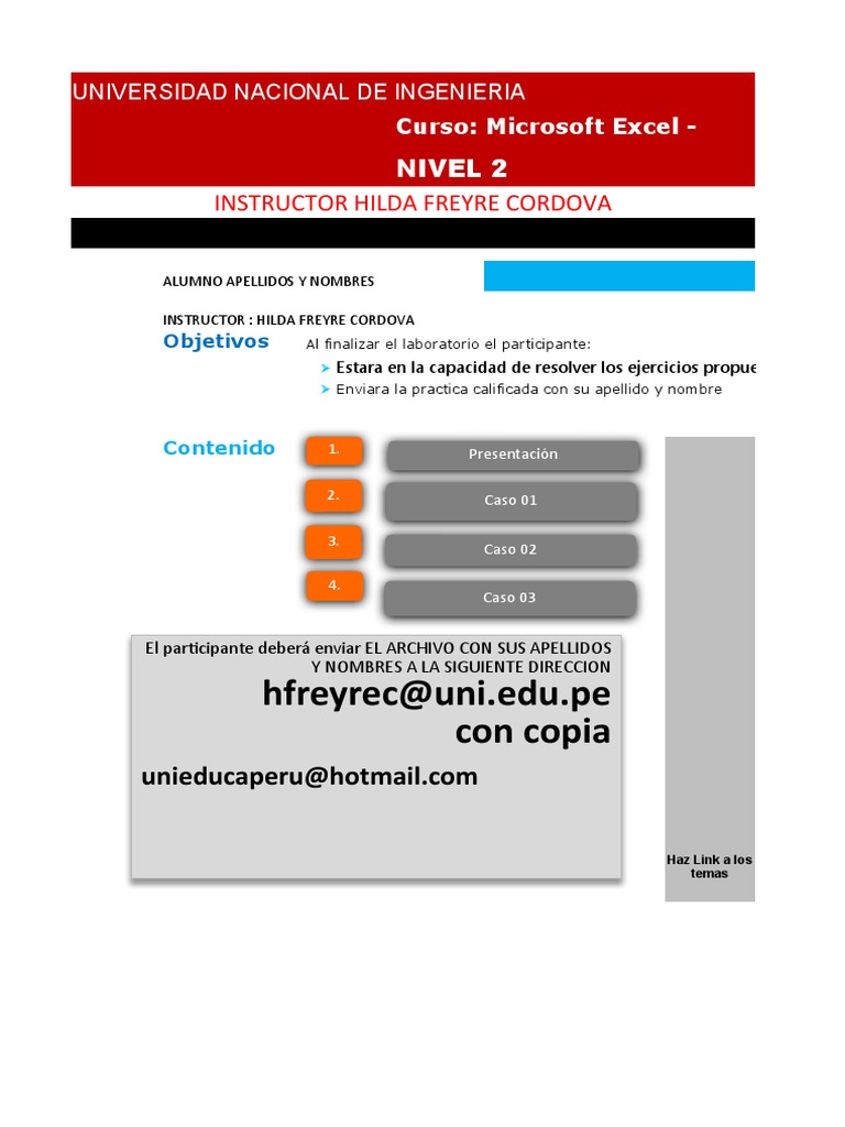 Examen de Microsoft Excel - Nivel 2 | PDF