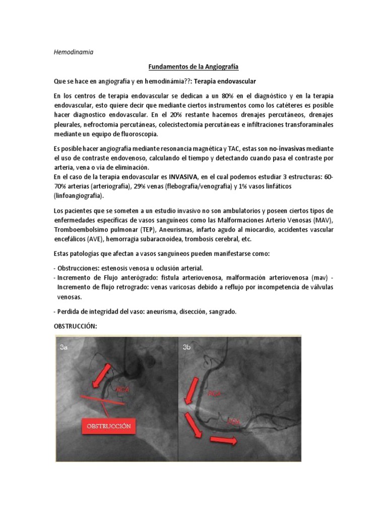 Clase 1 - Fundamentos de La Angiografía | PDF | Angiografía | Vena Clase 1 - Fundamentos de La Angiografía | PDF | Angiografía | Vena