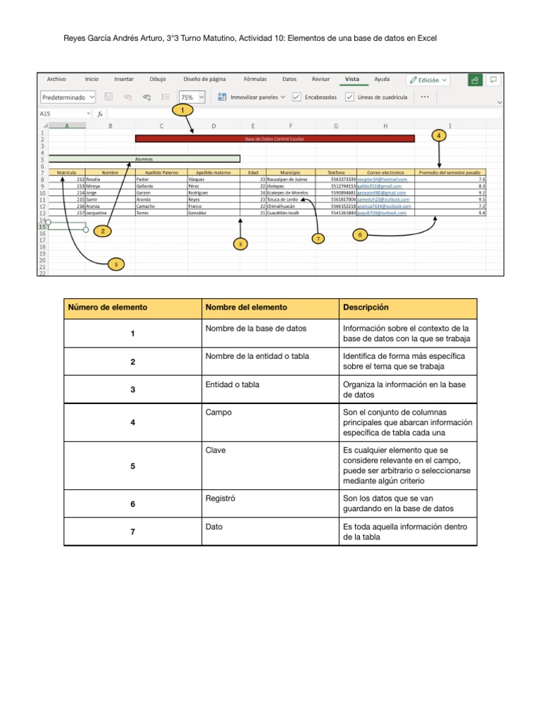 Elementos de Una Base de Datos en Excel | PDF