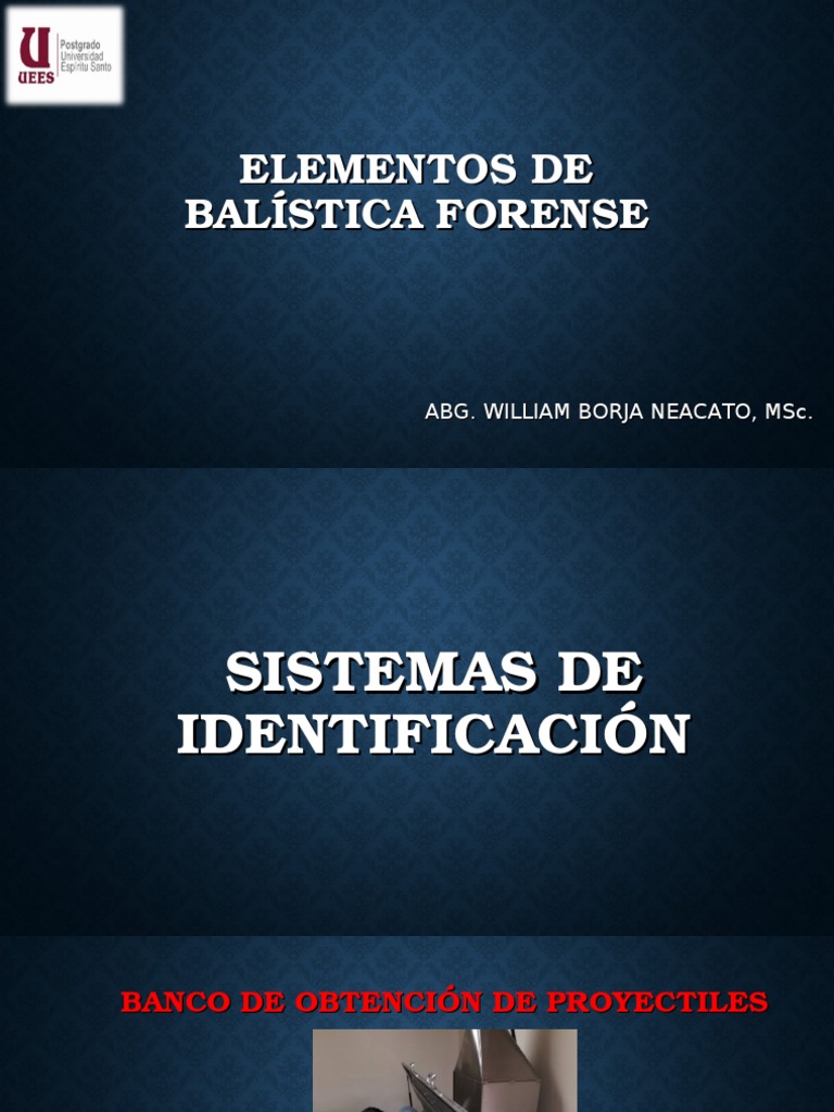 Bal 2.3 | Descargar gratis PDF | Cartucho (armas de fuego) | Armas de fuego