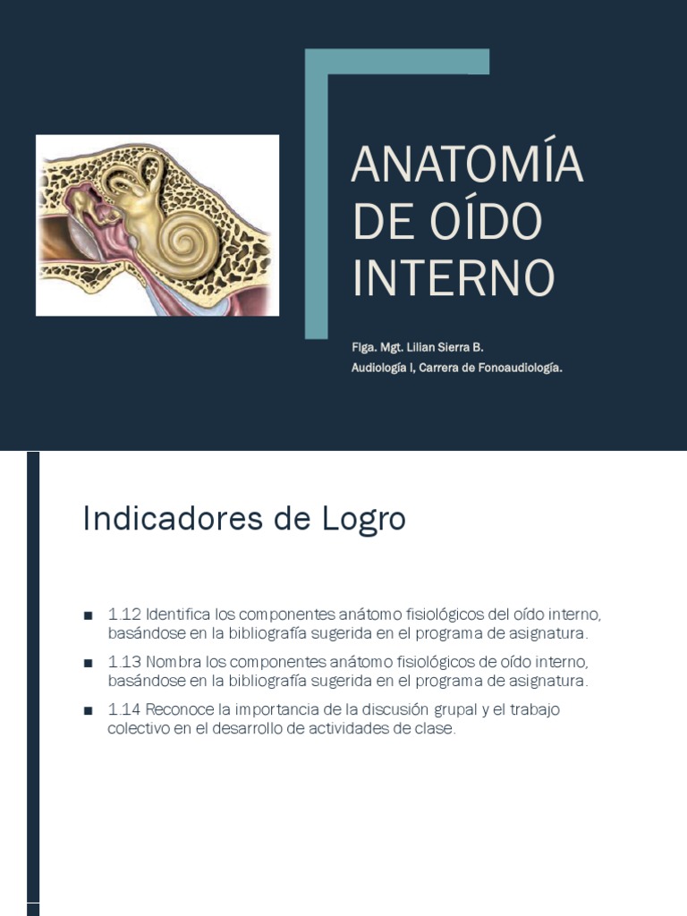 Laberinto óseo y membranoso del oído interno | PDF | Oído | Escuchando