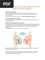 Reproductive System | PDF | Reproductive System | Zoology