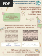 Anatomía y Cuidado de la Rata Wistar | PDF