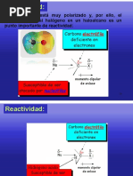 Anatomía y Cuidado de la Rata Wistar | PDF