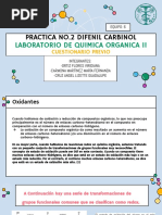 Anatomía y Cuidado de la Rata Wistar | PDF