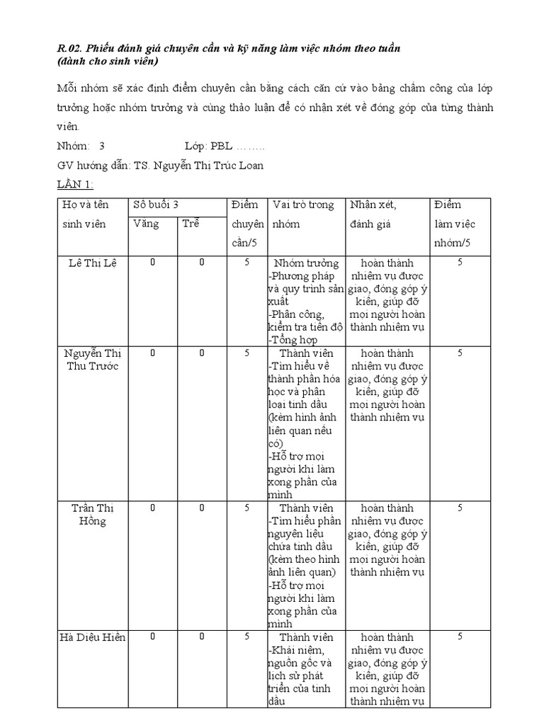 Mẫu rubric đánh giá làm việc nhóm 3 | PDF