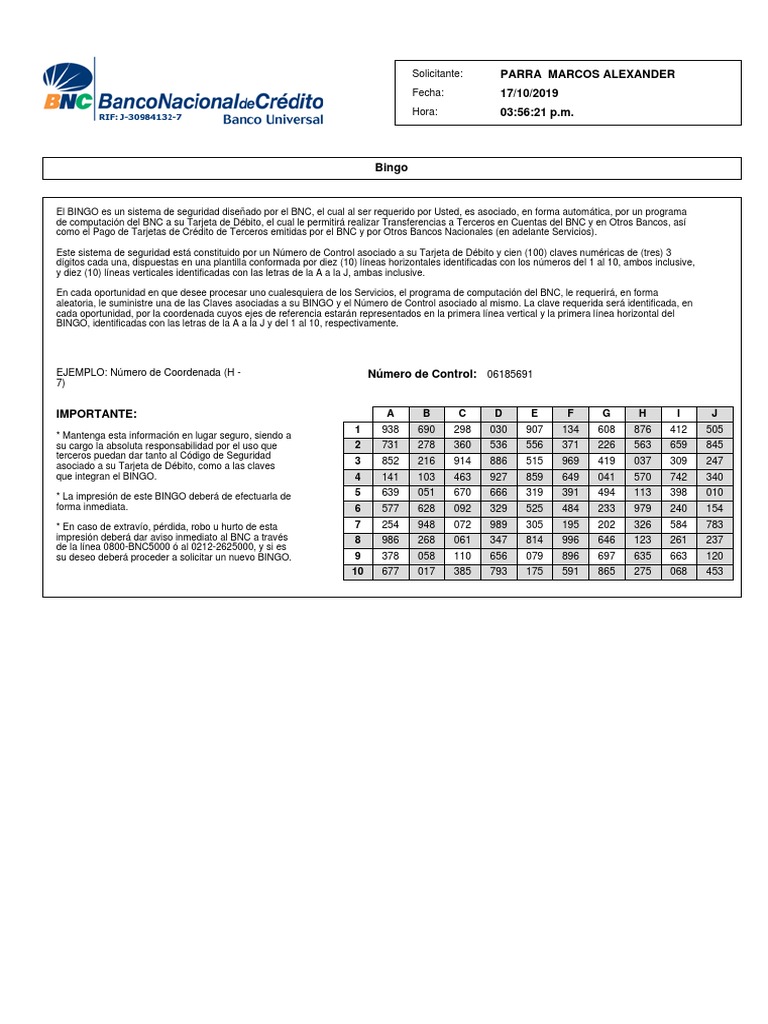 Bingo BNC Marco Parra | PDF | Business | Informática