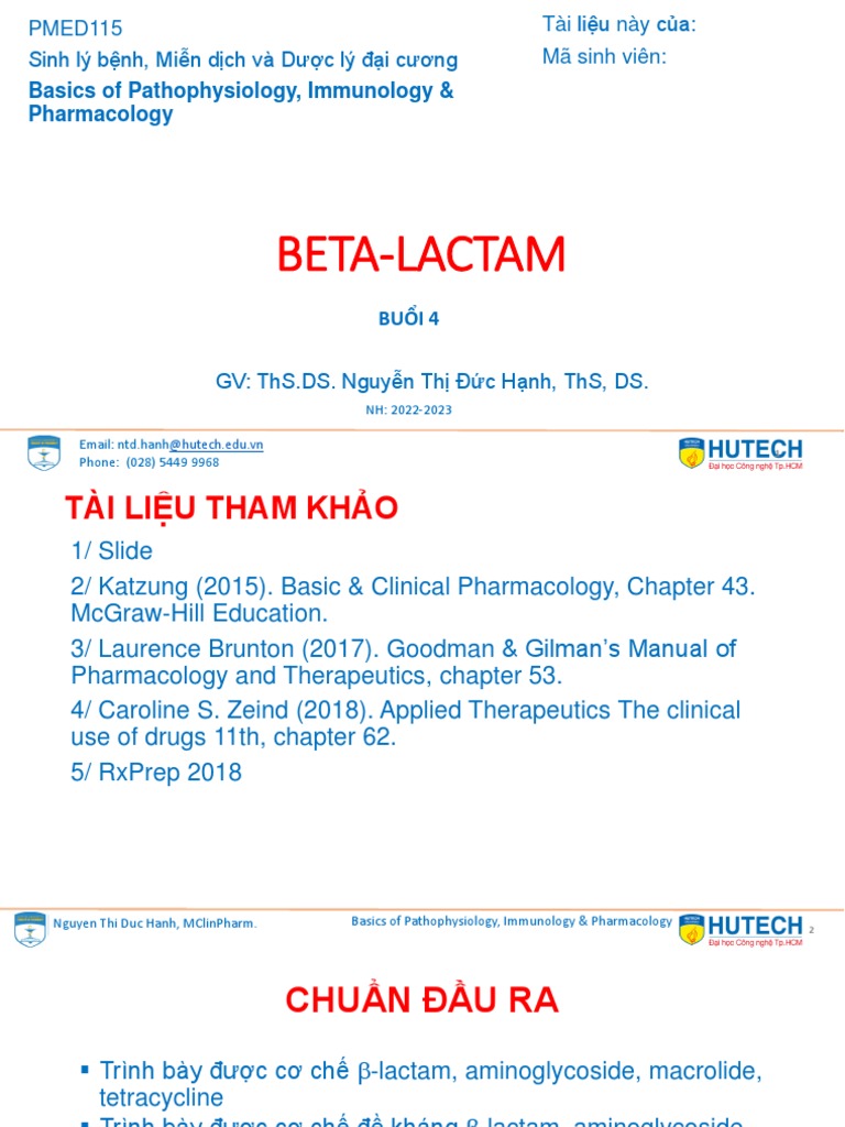 Beta Lactam | PDF