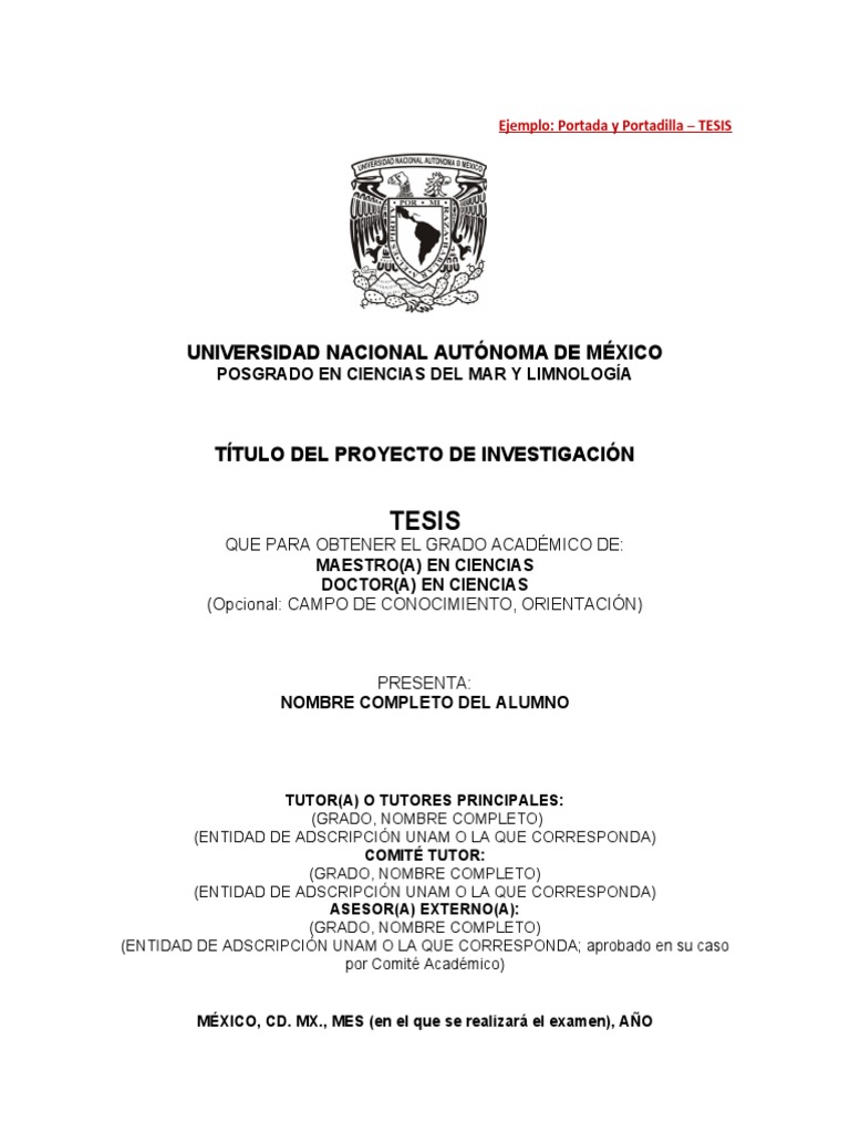 Formato Portada Portadilla Tesis Unam Pdf