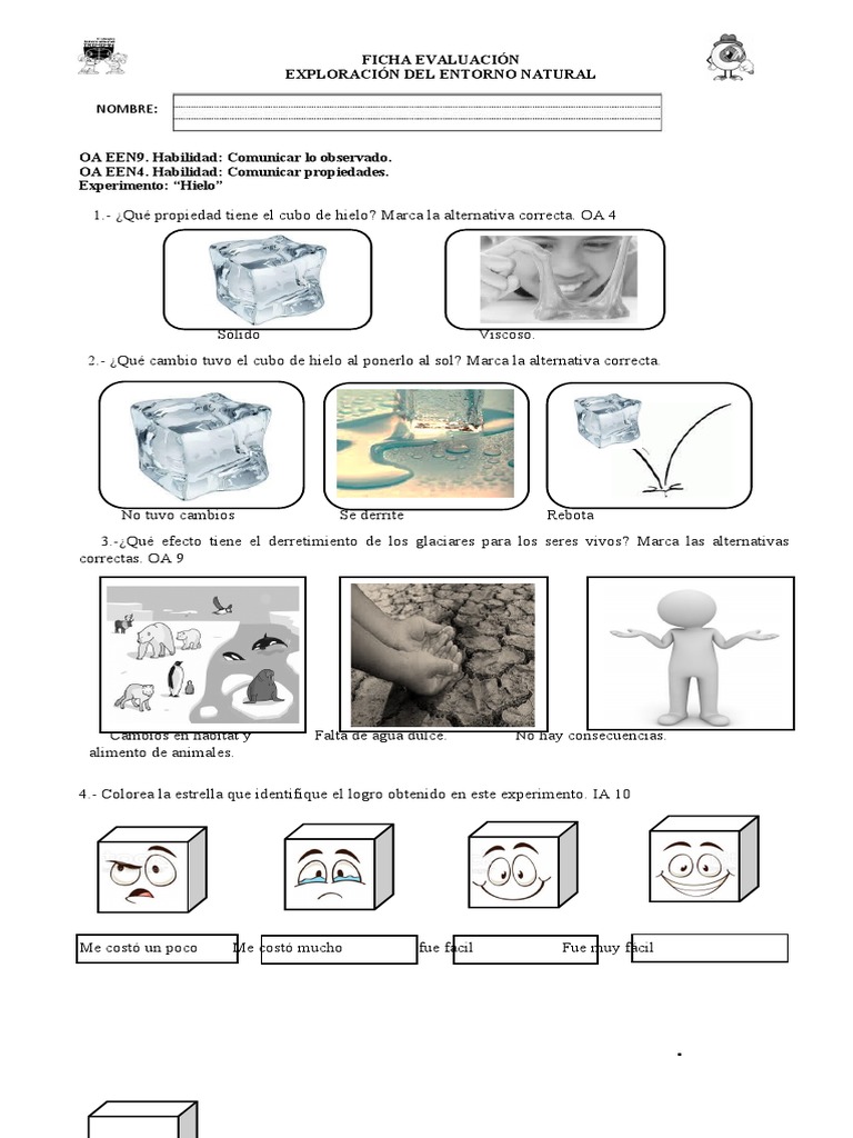 Ficha Exp. Hielo | PDF
