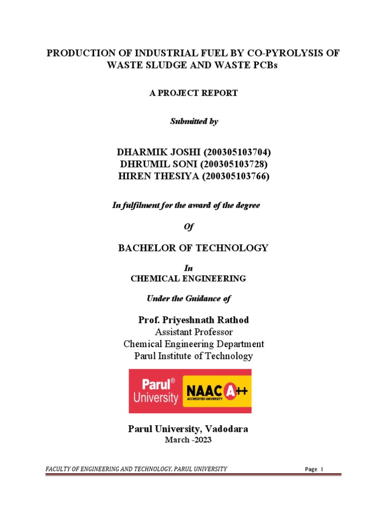 Project Thesis | PDF | Pyrolysis | Reaction Rate