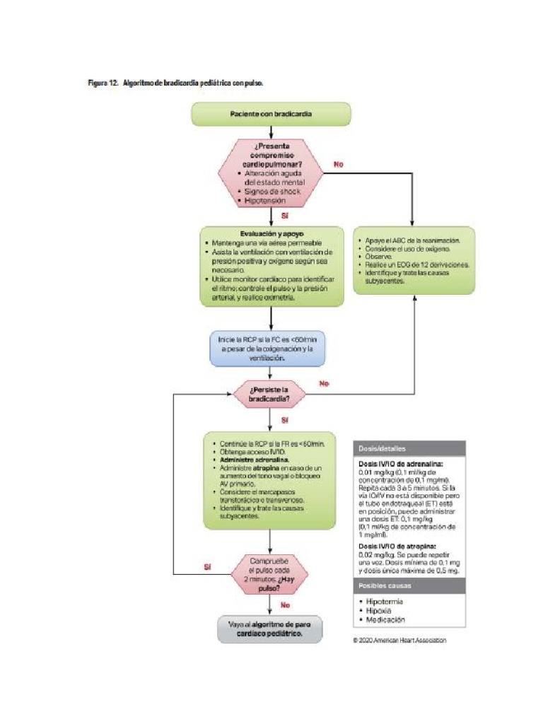 Algoritmo de Bradicardia y Taquicardia AHA 2020 | PDF