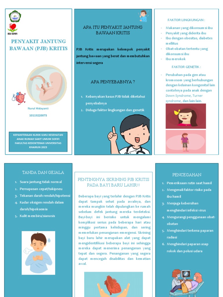 Leaflet-Pjb Kritis | PDF