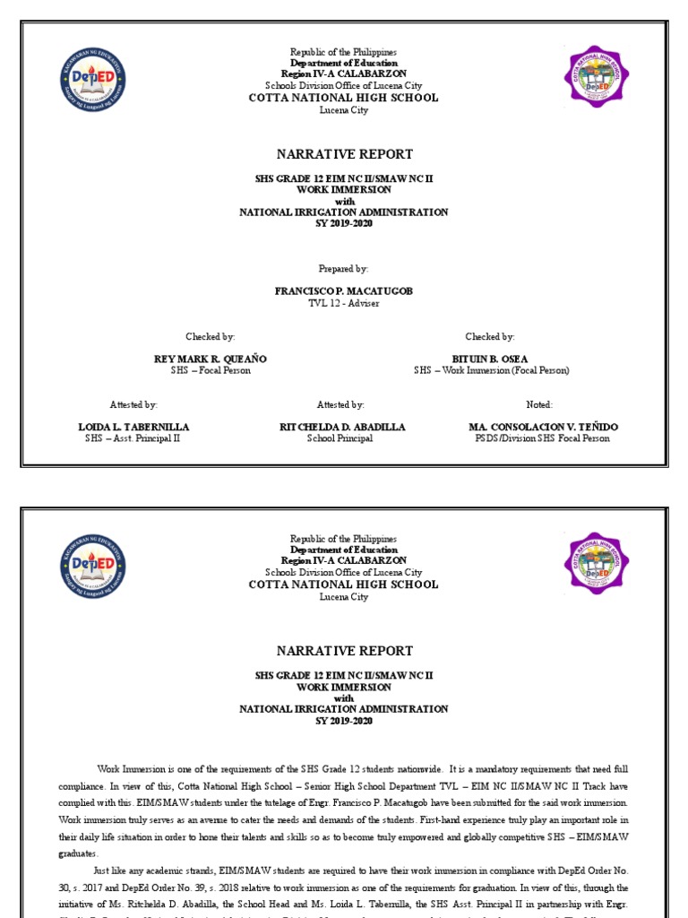 SHS - Immersion - Best - Practices-2019 - Narrative Report | PDF