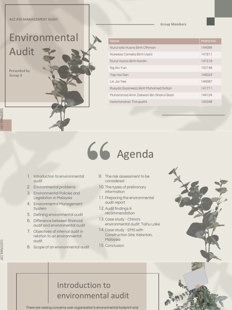 G8 - Environmental Audit | PDF | Audit | Business