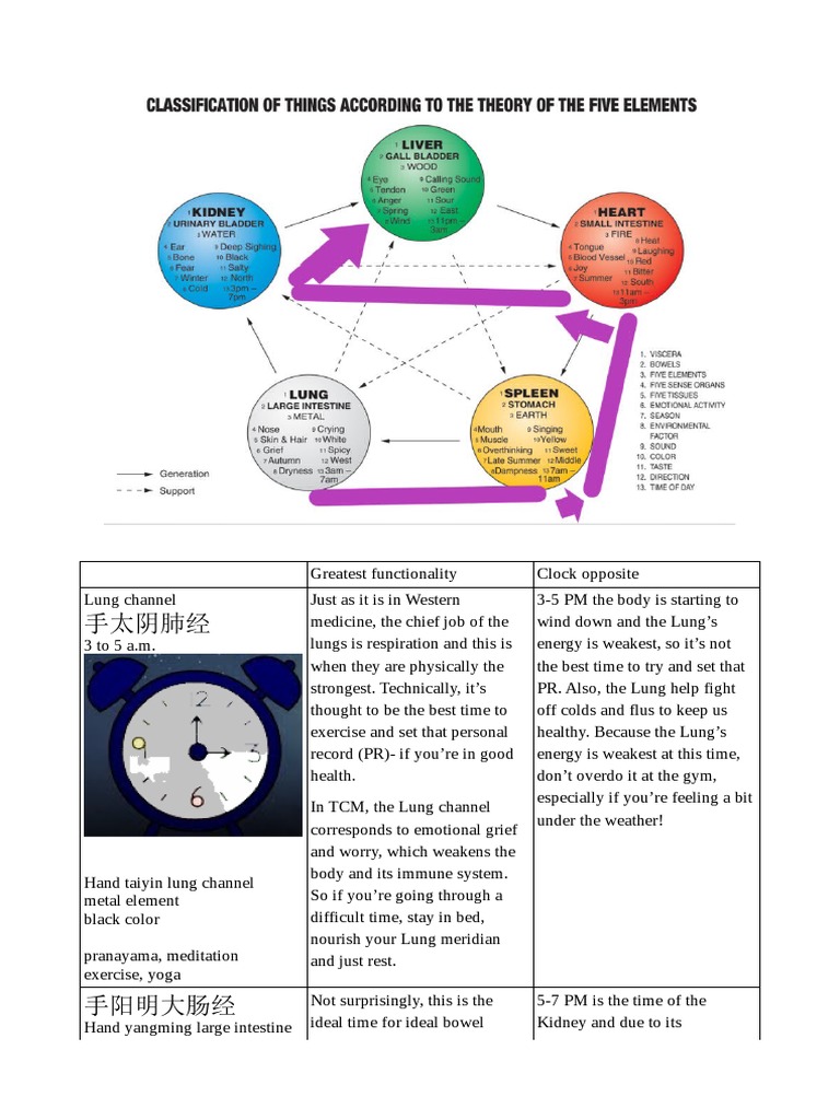 Body Clock and Meridians With Illustrations | PDF | Bile | Traditional ...