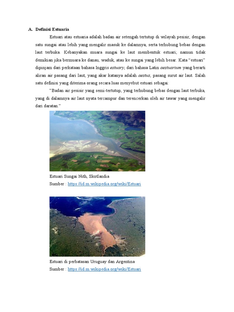 Estuaria | PDF