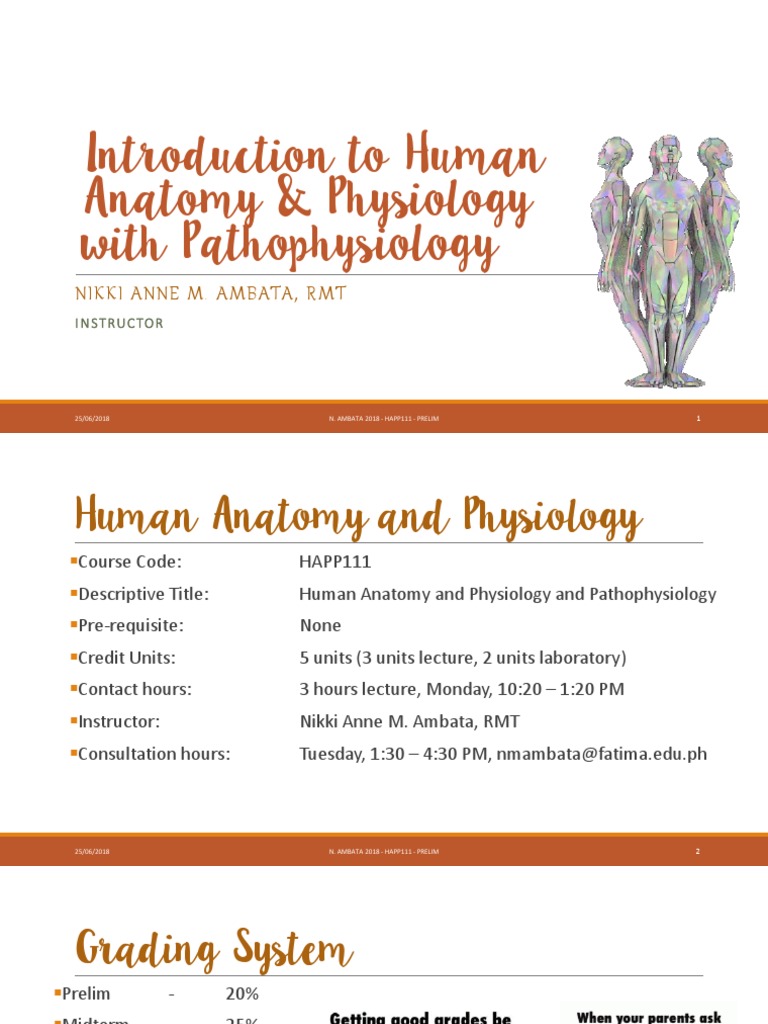 Introduction To Anatomy and Physiology | PDF | Human Body | Anatomy