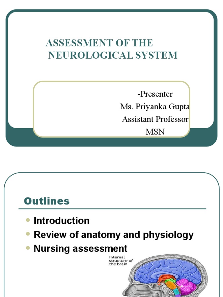 ASSESSMENT OF THE NERVOUS SYSTEM (230 Nurs | PDF | Foot | Human Eye