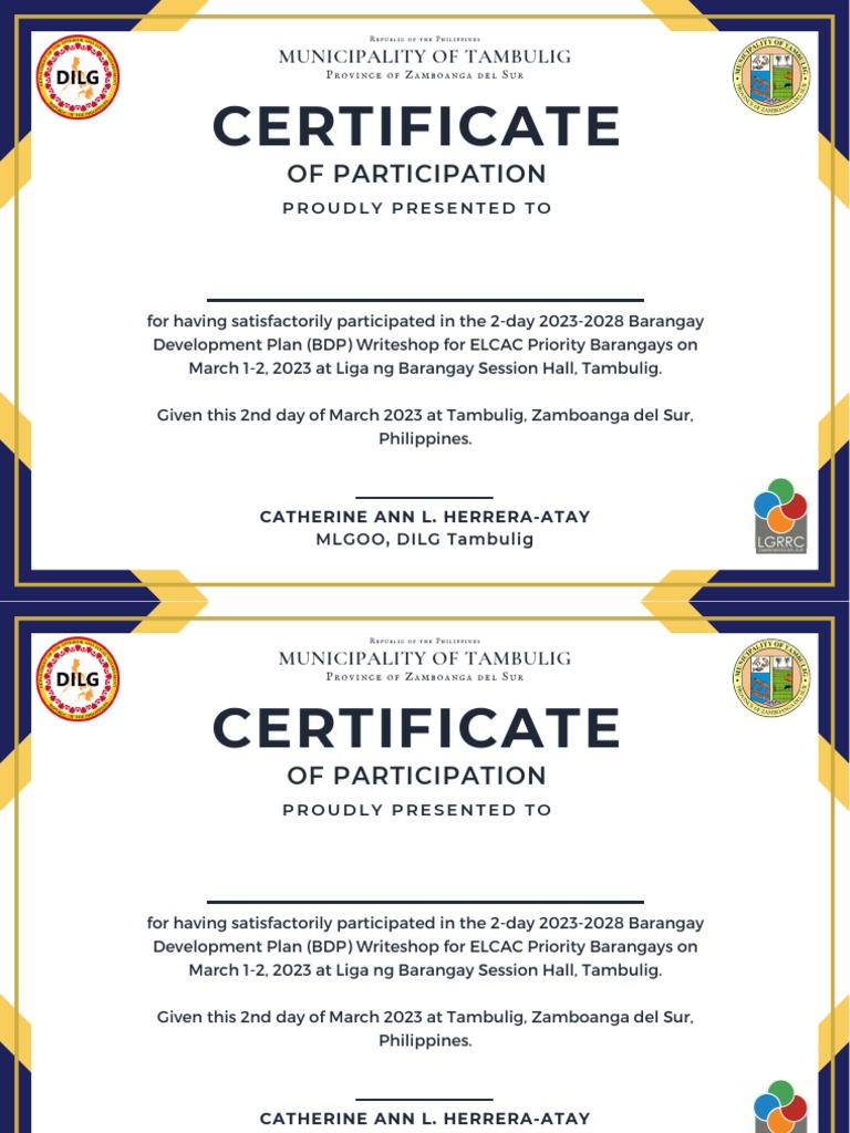 BDP Workshop Certificate March 1-2, 2023 | PDF