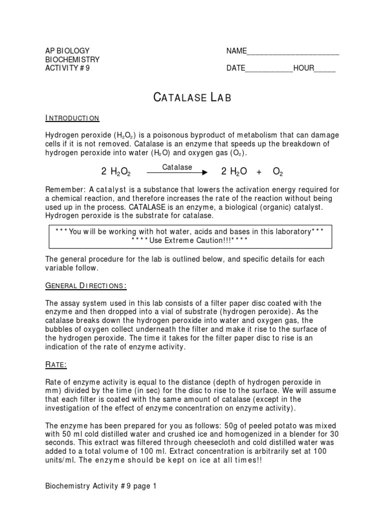 Catalase Lab | PDF | Catalase | Hydrogen Peroxide