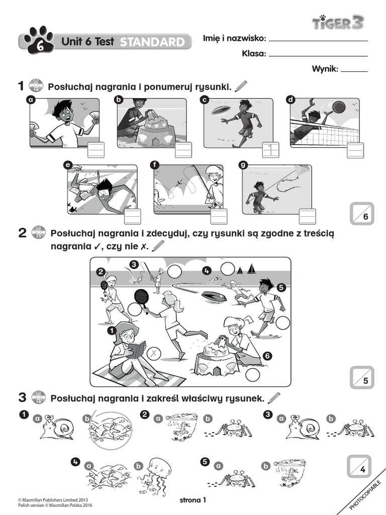 Tiger 3 Unit 6 Test STANDARD | PDF