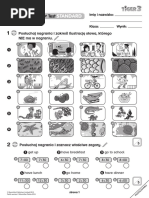 Tiger 3 Unit 1 Test PLUS | PDF