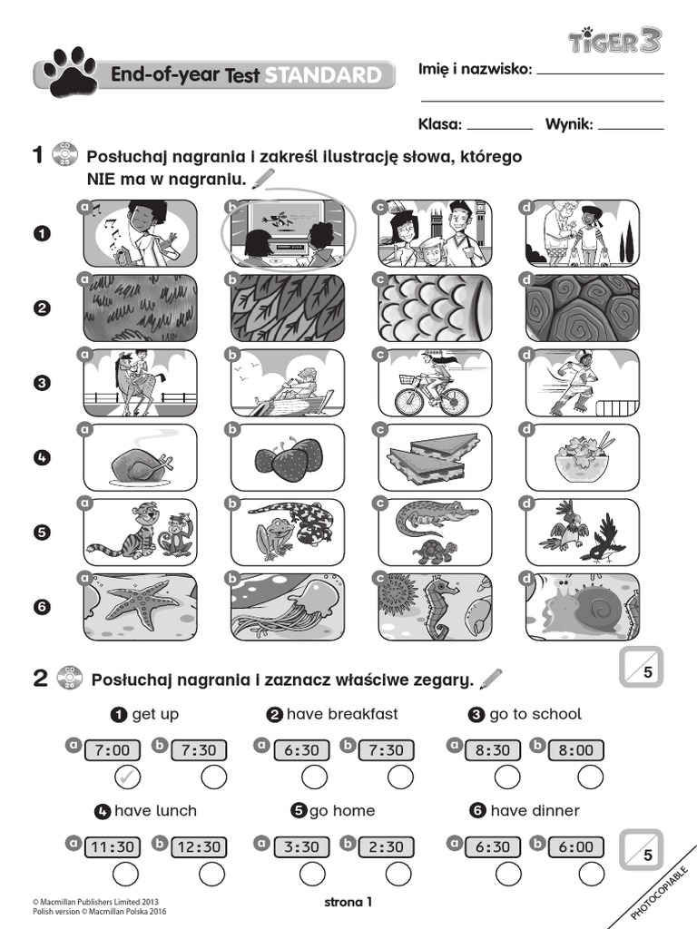 Tiger 3 Endofyear Test STANDARD | PDF