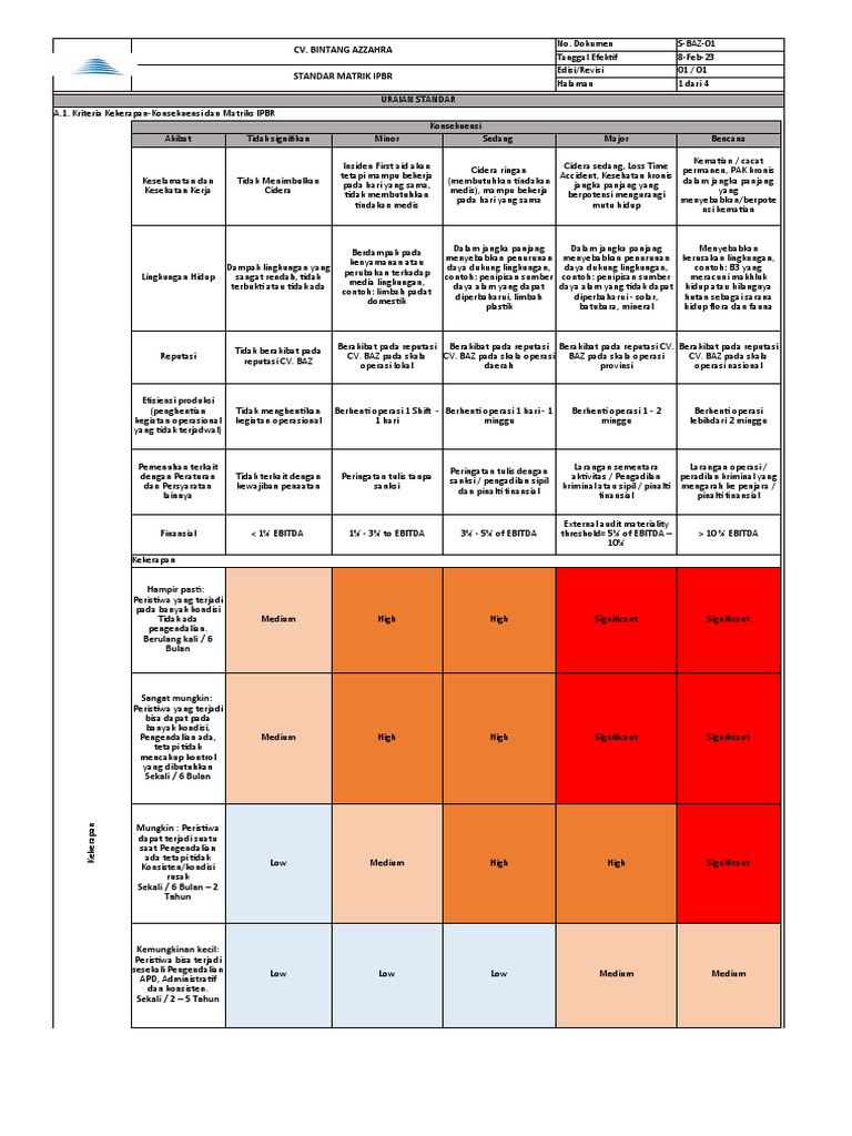 S-BAZ-01 Standar Matriks IPBR BAZ | PDF