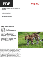 Amur Leopard Fact File | PDF | Leopard | Endangered Species