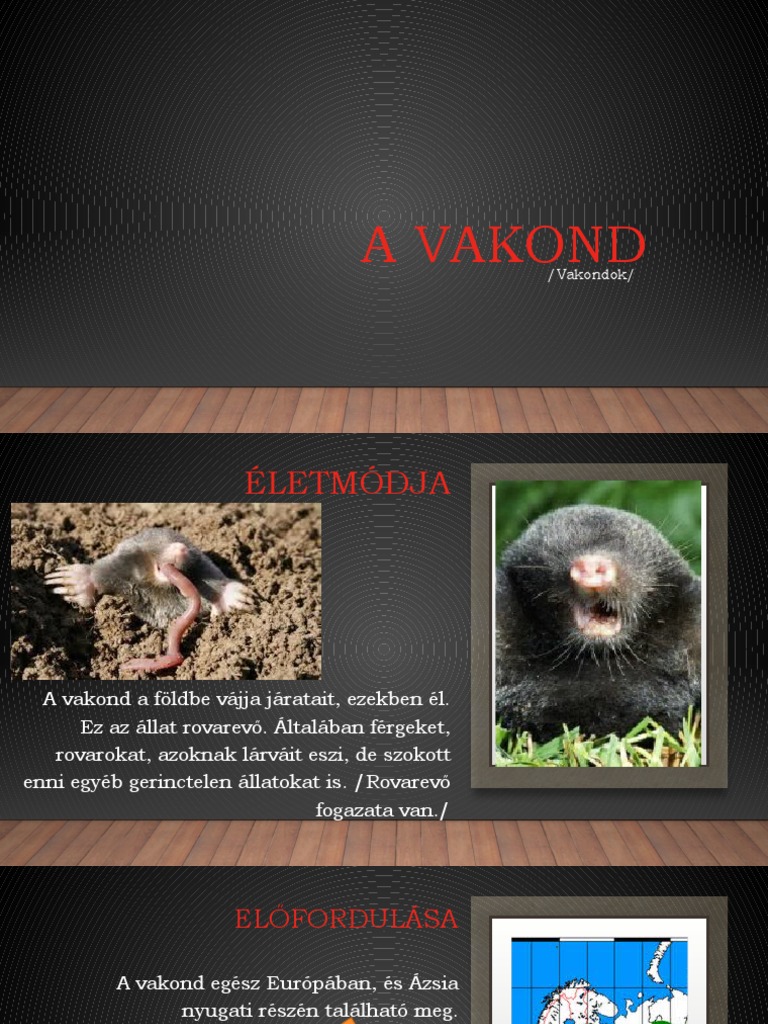 A Vakond | PDF