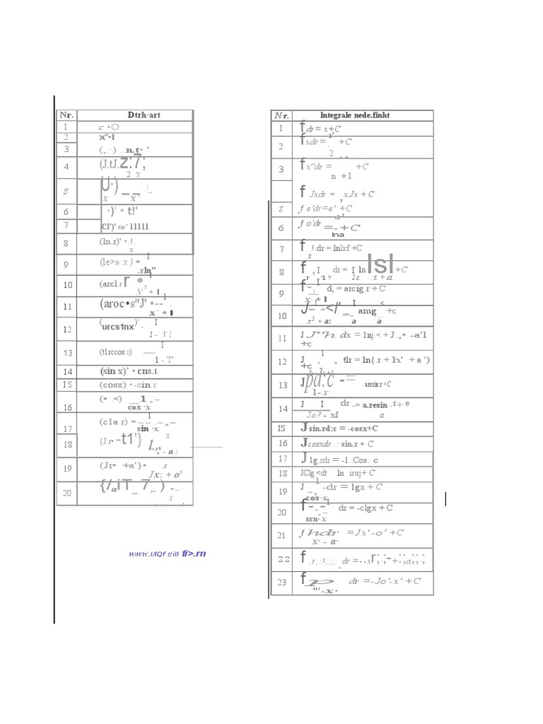 Integrale & Derivate | PDF