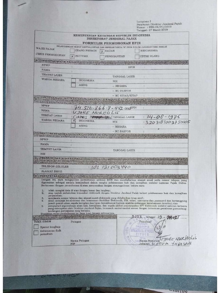 Formulir Permohonan Efin | PDF