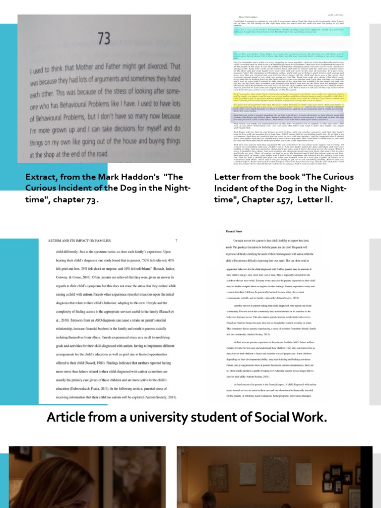 Oral - The Curious Incident of The Dog in The Night Time - LLCER | PDF