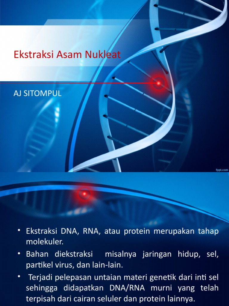 Ekstraksi Dna | PDF
