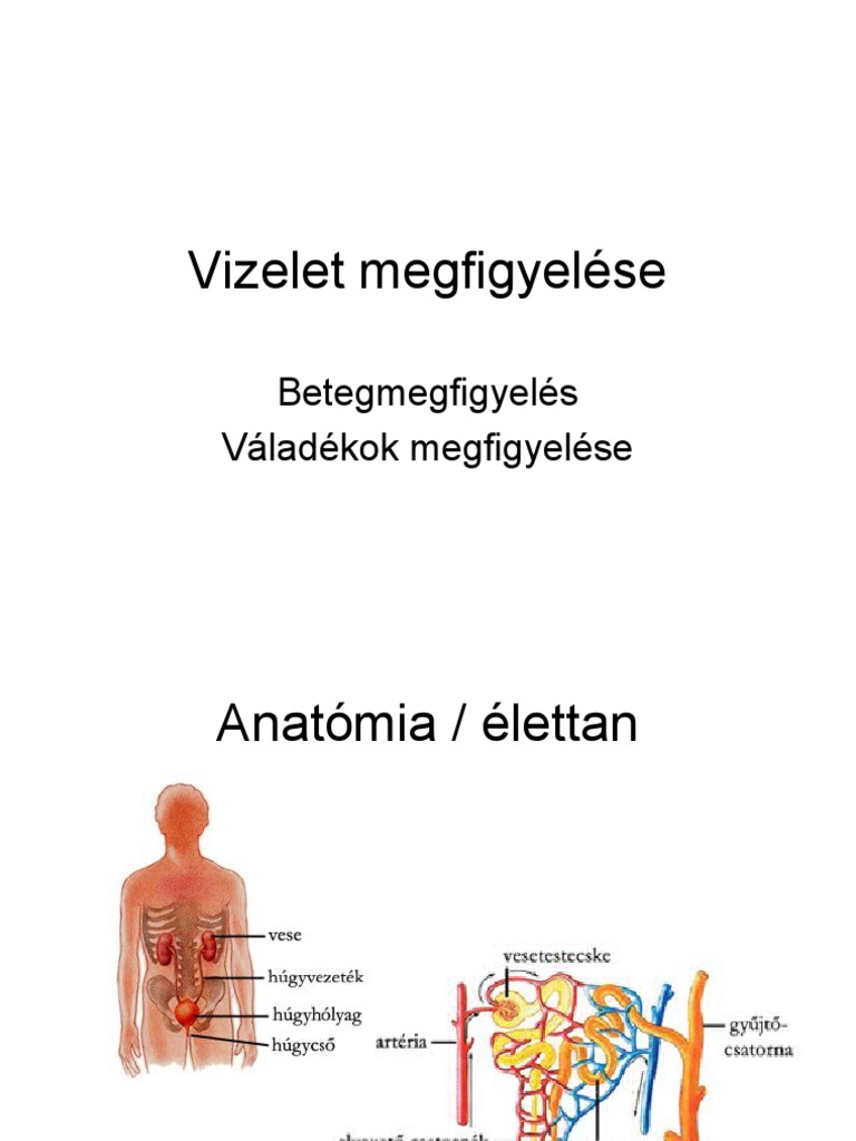 Vizelet Megfigyelése | PDF